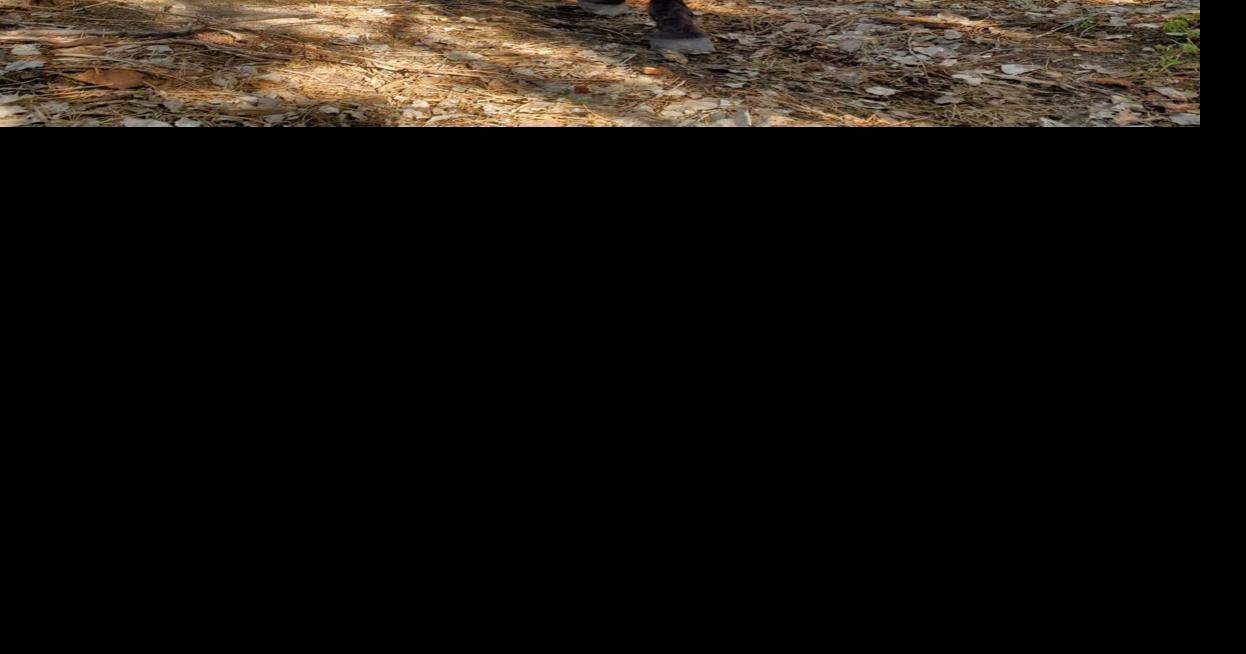 Butler County horseback riding business enters its fourth year