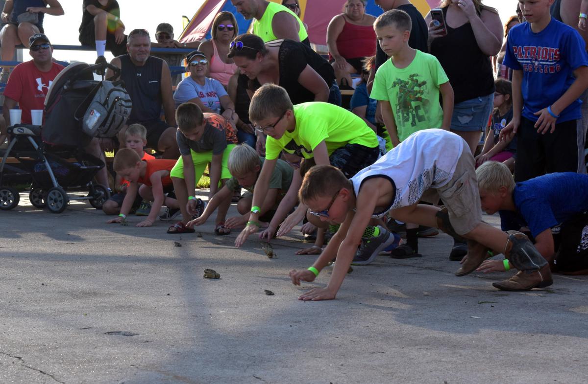 Frog race attracts participants of all ages during Colfax County Fair ...