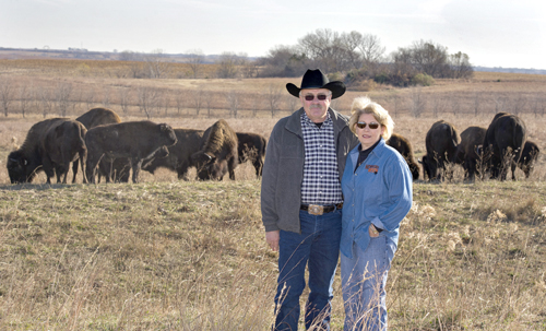 Adams couple sells buffalo meat online
