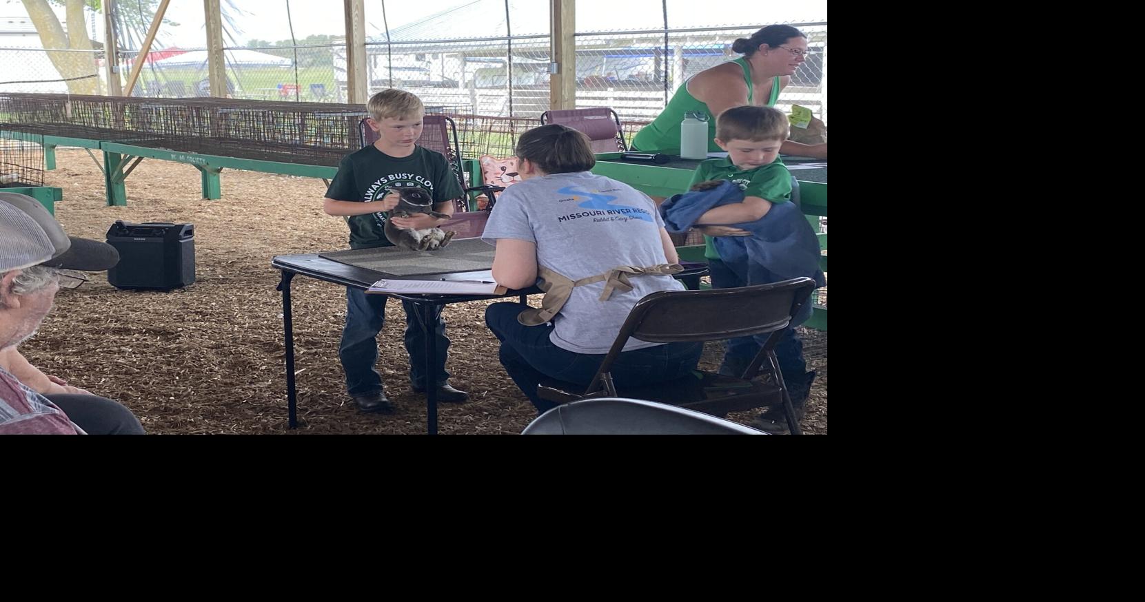Butler County Fair Rabbits