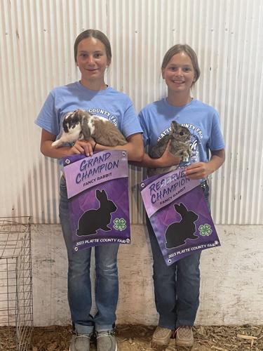 Platte County Fair Rabbit Show