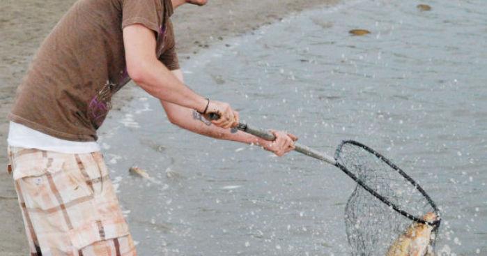 Fish kill eliminates carp infestation