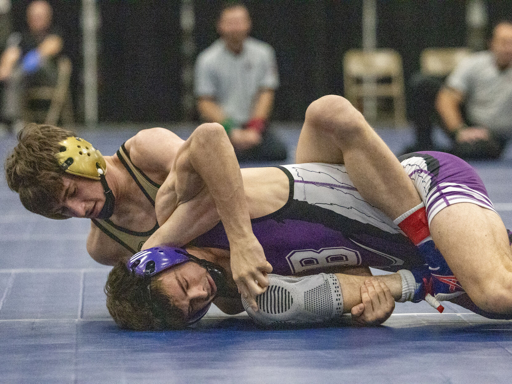 Aquinas returns to State Duals finale after one-year absence