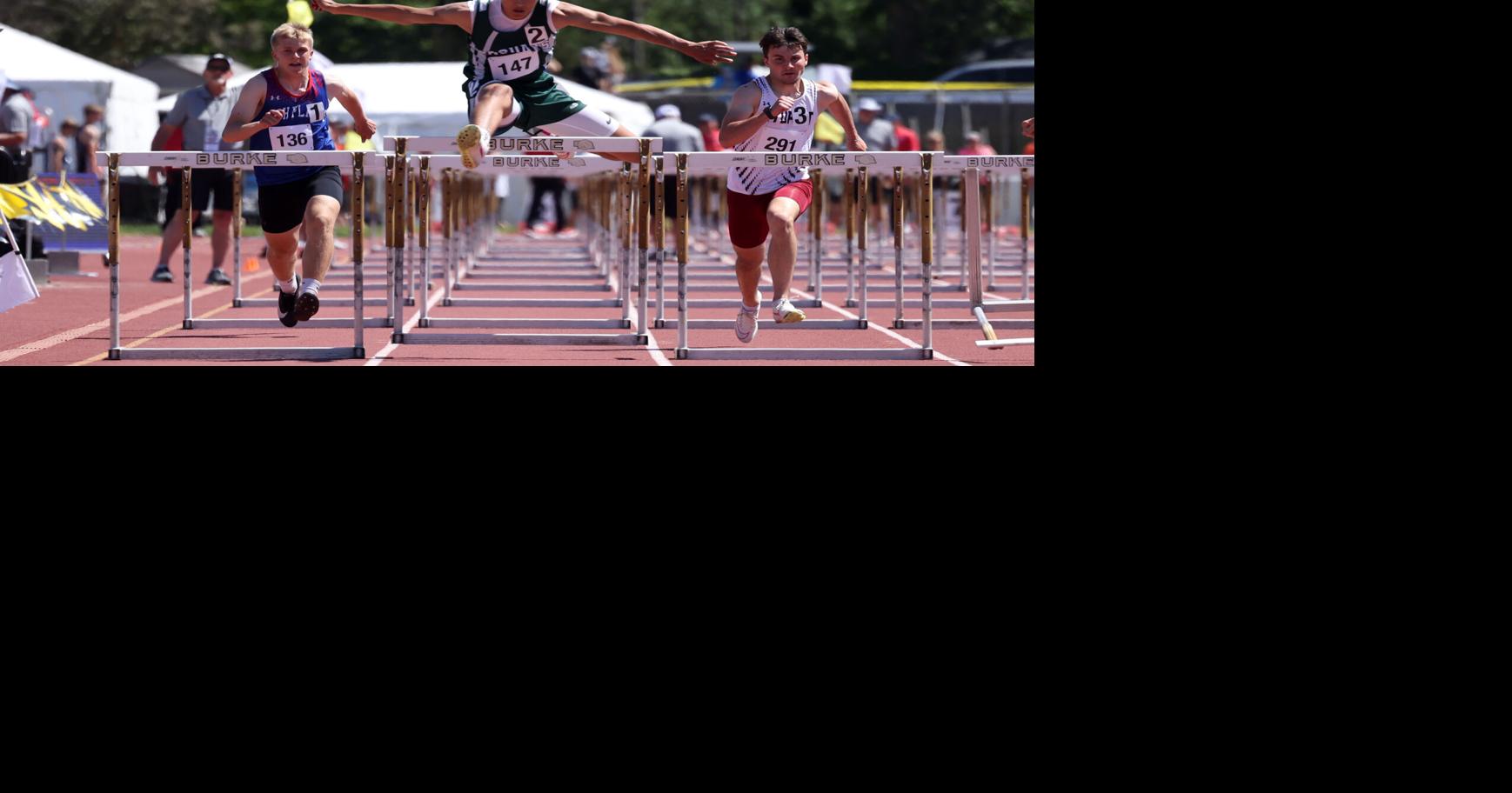 Howells-Dodge closes track season with four state medals