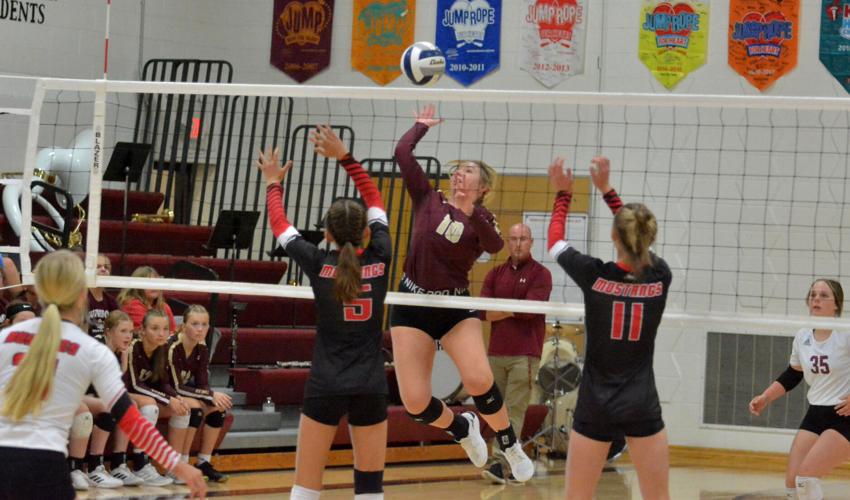 Area volleyball: Tigers fall in subdistrict final, SRC defeats Aquinas