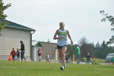 Shamrock girls continue strong cross country season
