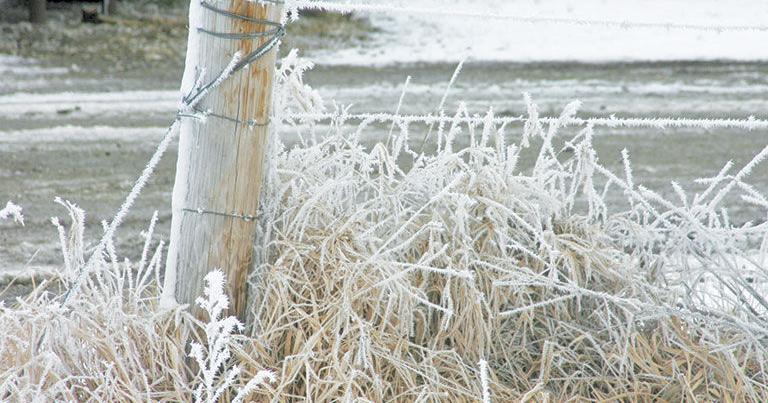 Ask the Weather Guys: How does frost form?