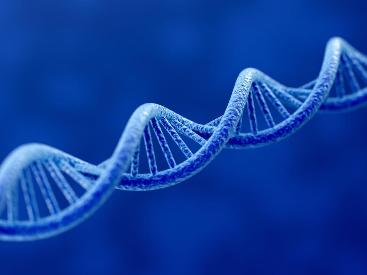 Scientists sequence the complete human genome for the first time