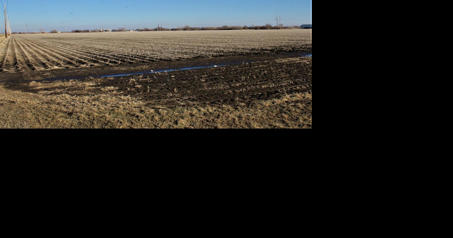 Blighted area could become good use of land