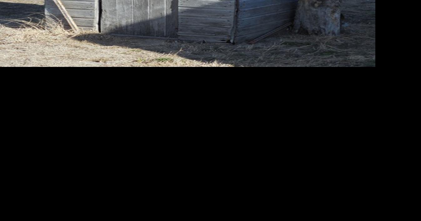 Drozd: When nature called, farm kids used the privy