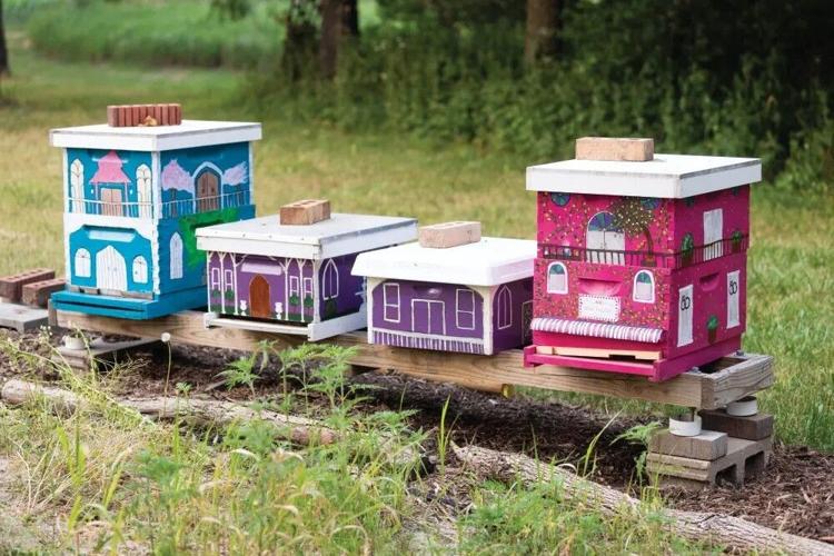 Wild Harvest Honey Farm and others work to protect pollinators and ...