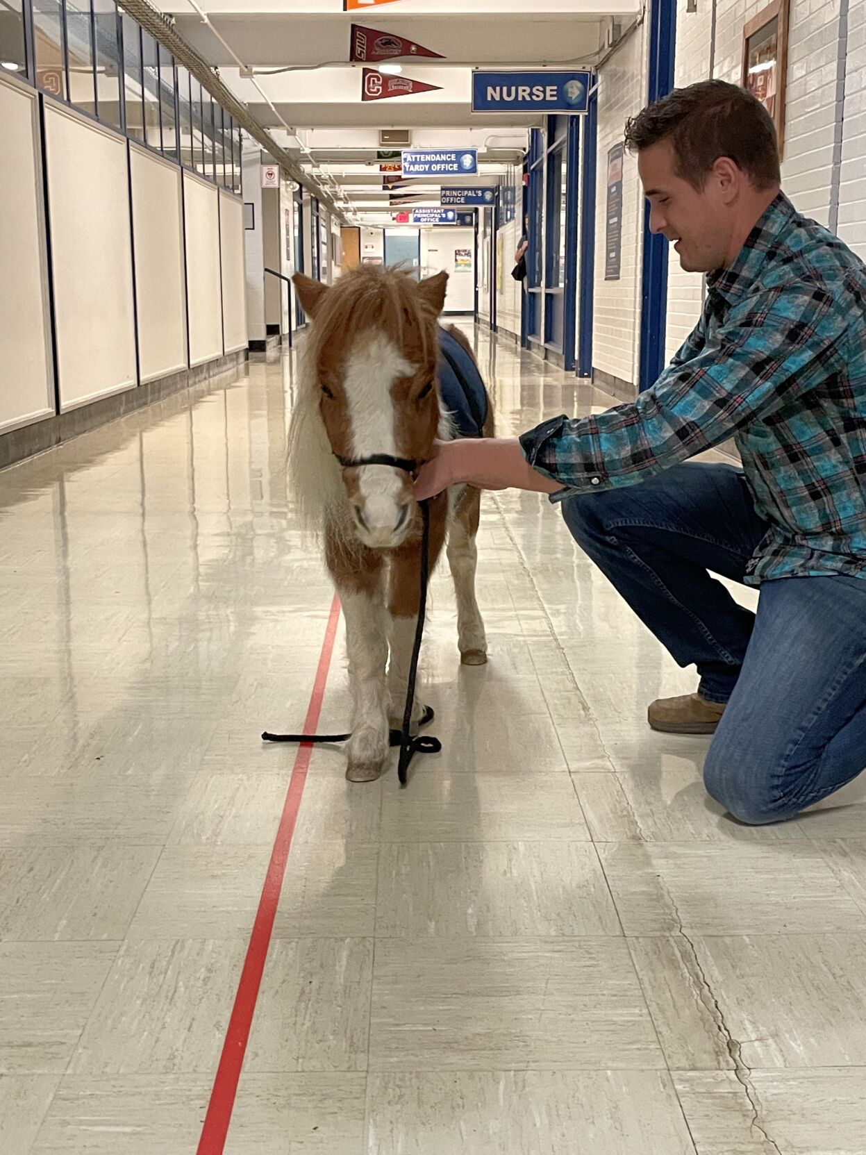 Vermilion County students benefit from equine-assisted psychotherapy ...