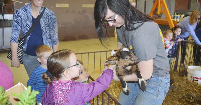 Farmyard fun | Local News | commercial-news.com
