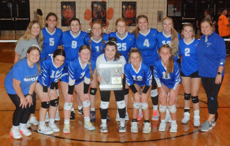 PREP VOLLEYBALL: Bismarck-Henning/Rossville-Alvin claims regional title ...