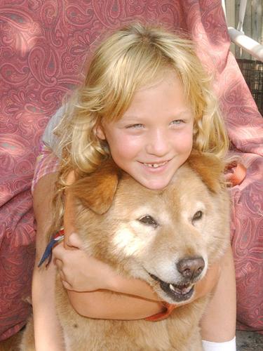 Cast-off pets get second chance | Local News | commercial-news.com