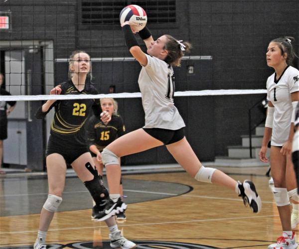 PREP VOLLEYBALL: Salt Fork opens VVC with win over Armstrong-Potomac ...