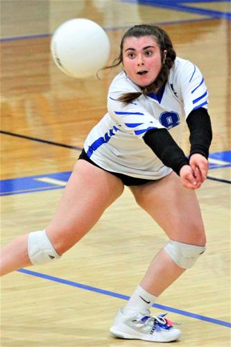 PREP VOLLEYBALL: BHRA advances to play St. Joseph-Ogden for regional ...