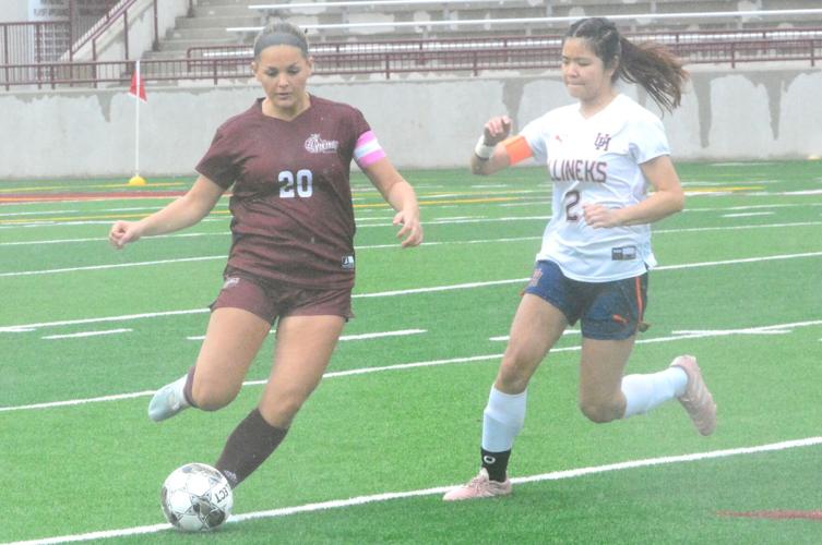 PREP GIRLS SOCCER: Danville shuts out Urbana University | Sports ...