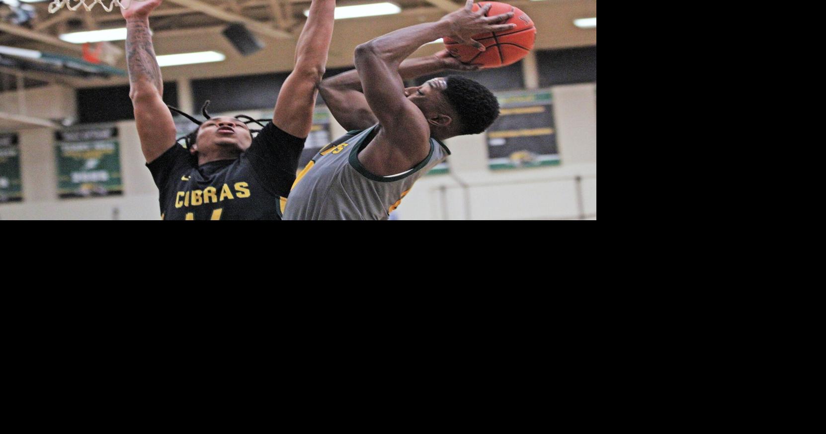 COLLEGE BASKETBALL: DACC sweeps season series with Parkland | Sports ...