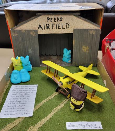 Hoopeston library awards winners in Peeps Diorama contest | Local News ...