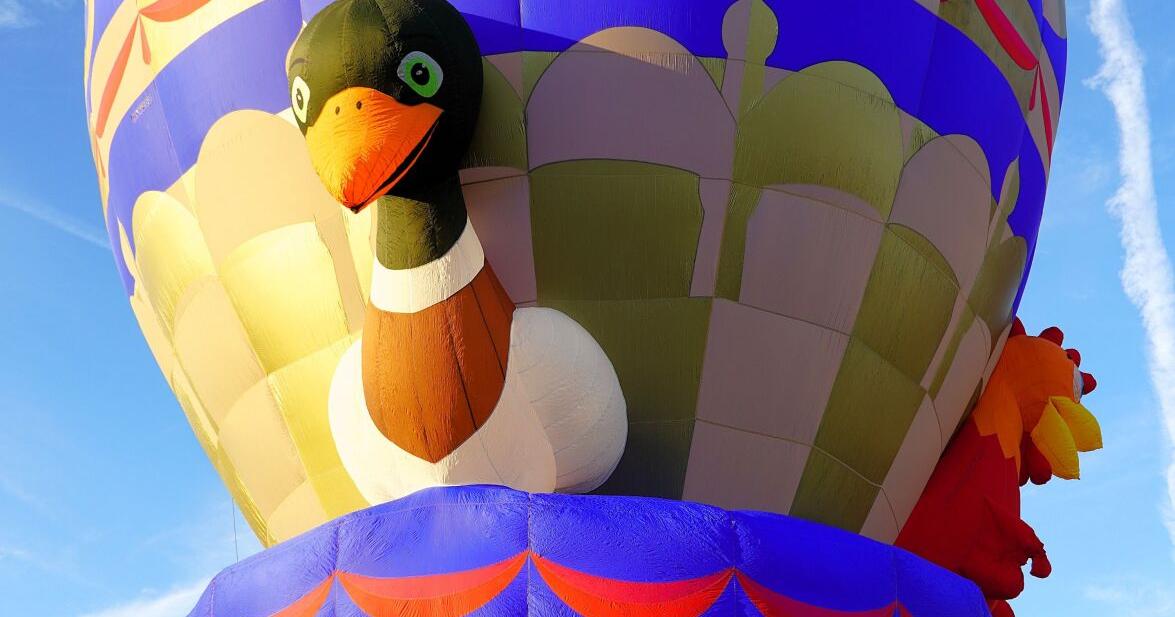 Creatures take over the sky at the 10th Annual Balloons Over Vermilion ...