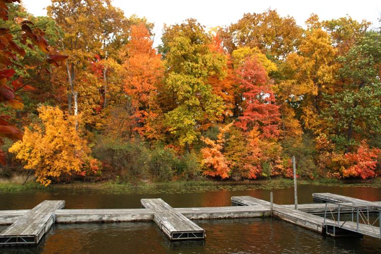 Autumn arrives in Vermilion County | News | commercial-news.com