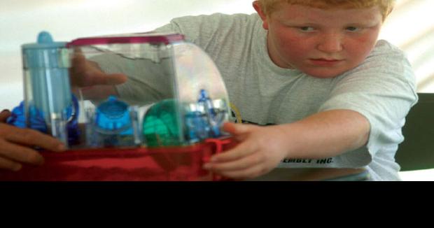 Hermit crab grabs Fountain fair honors | Local News | commercial-news.com