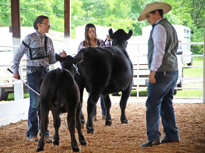 Cowboy Christmas set to hit Vermilion County Fair | Local News ...