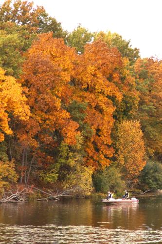 Autumn arrives in Vermilion County | News | commercial-news.com