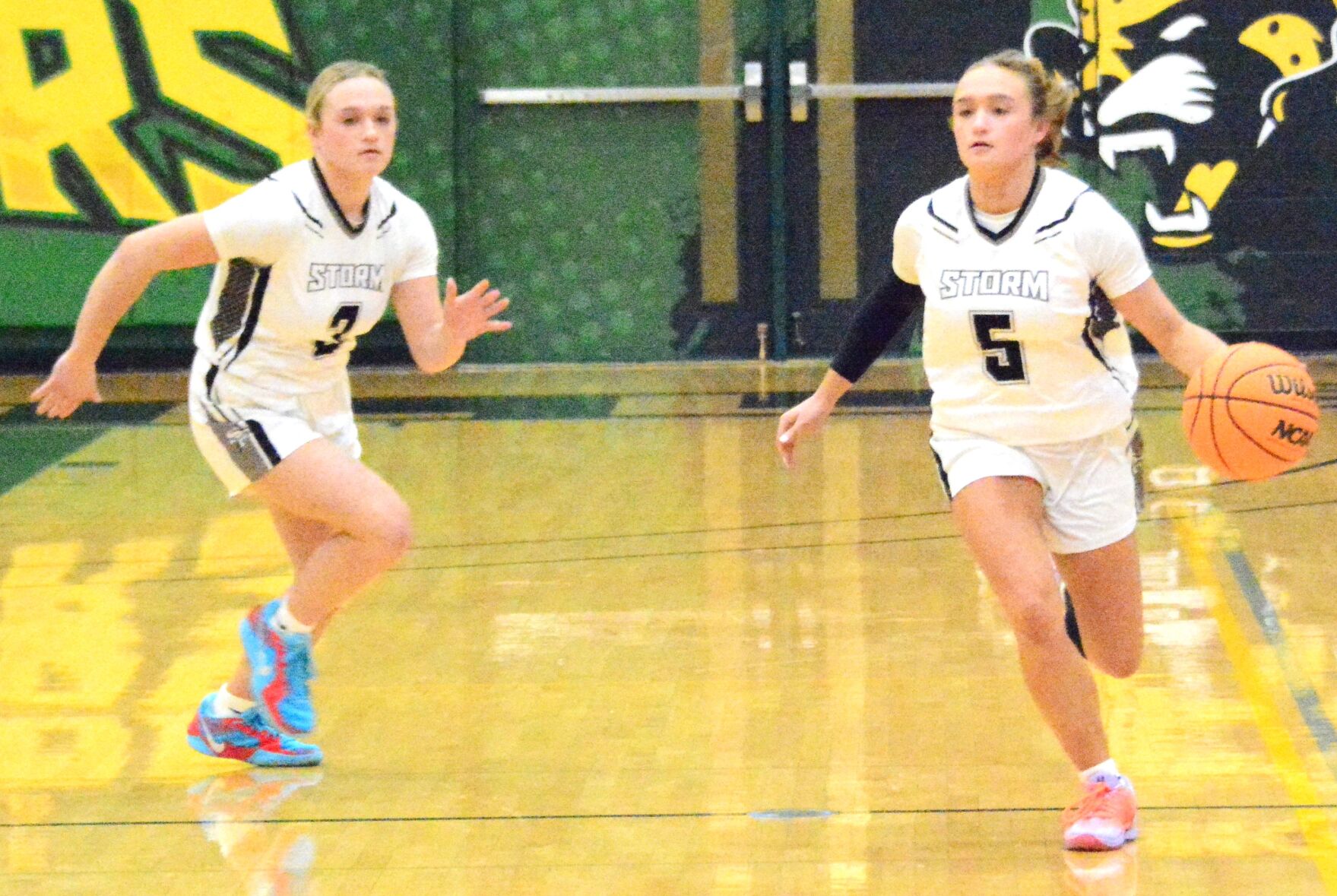 PREP GIRLS BASKETBALL: Salt Fork girls make it five county titles in a ...