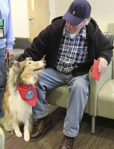 Veterans salute brings smiles | Local News | commercial-news.com