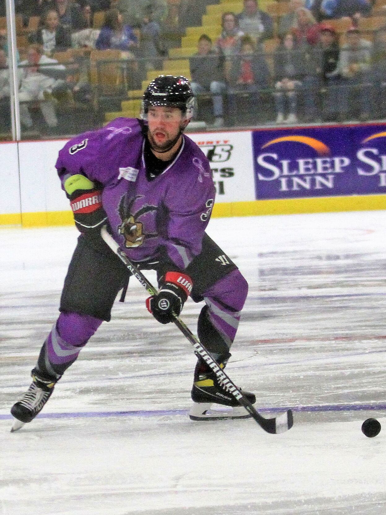 SPHL HOCKEY: Bobcats cease operations | Sports | commercial-news.com