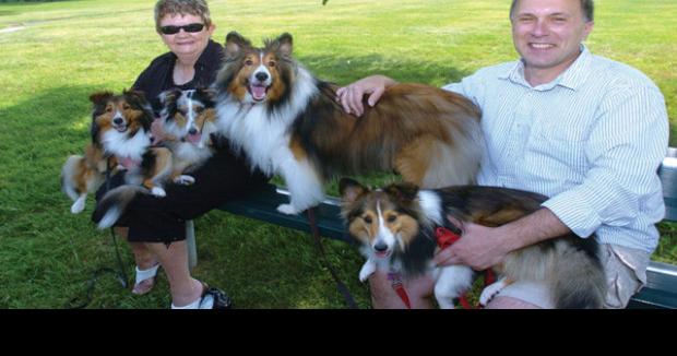 Neighbor shelties are ‘best buds’ | Local News | commercial-news.com
