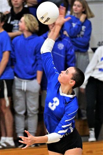 PREP VOLLEYBALL: BHRA advances to play St. Joseph-Ogden for regional ...