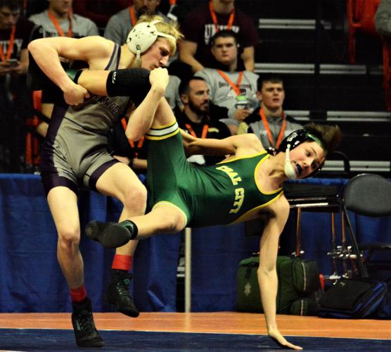 "Young Lions" and "Old Tiger Buffalo" reach state wrestling semifinals ...