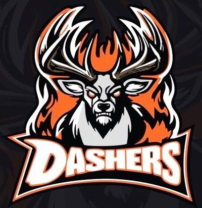 HOCKEY: Dashers break out new logo | Sports | commercial-news.com