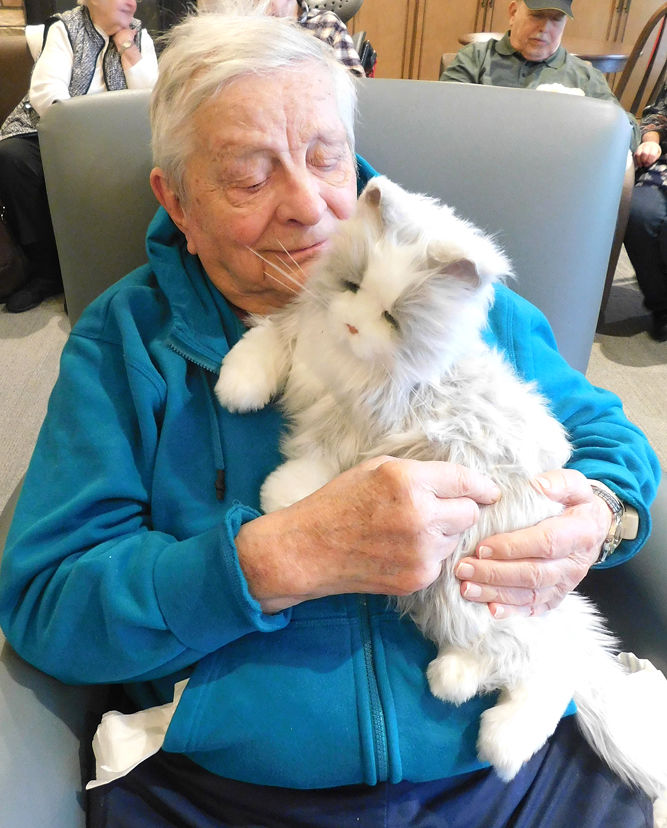 Robotic pets bring smiles to veterans’ faces | | commercial-news.com