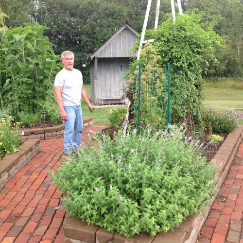 Master Gardeners to teach herb preservation | Local News | commercial ...