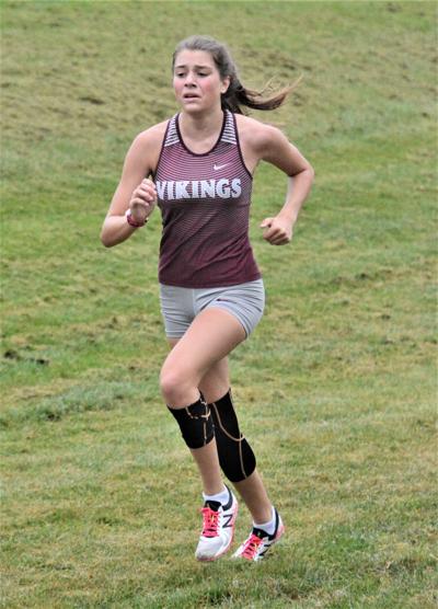 Allison Thompson leads Danville to a second-place finish | Sports ...
