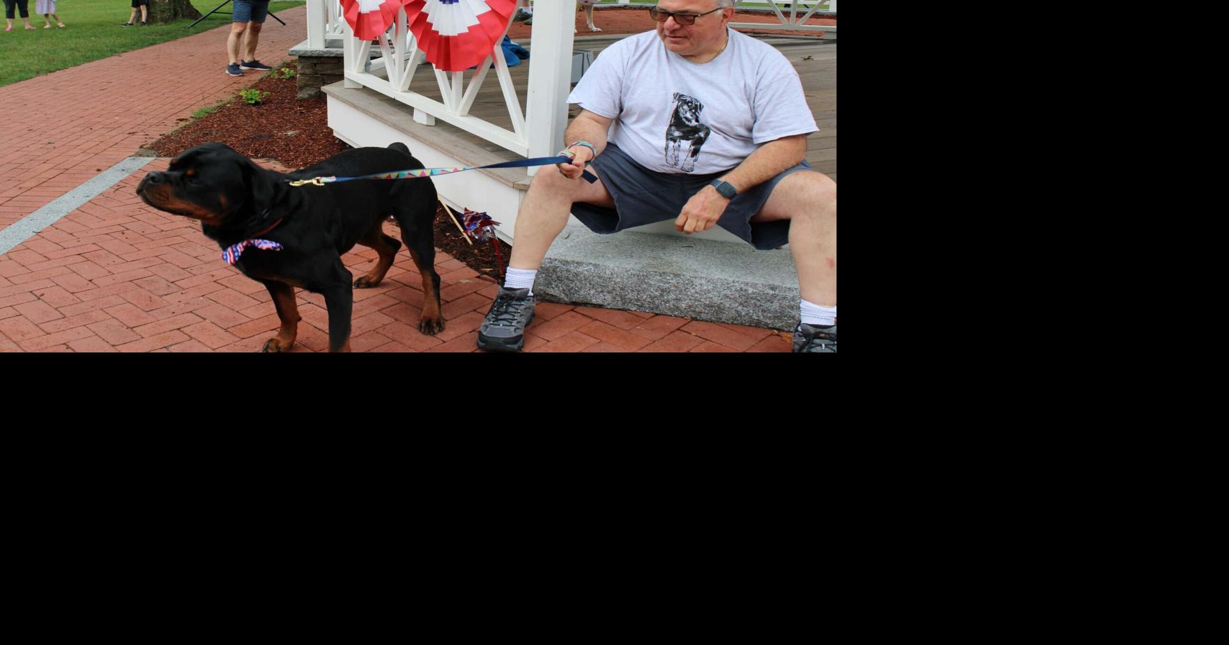 Wag your tails – it’s time to choose the next dog mayor of Grafton ...
