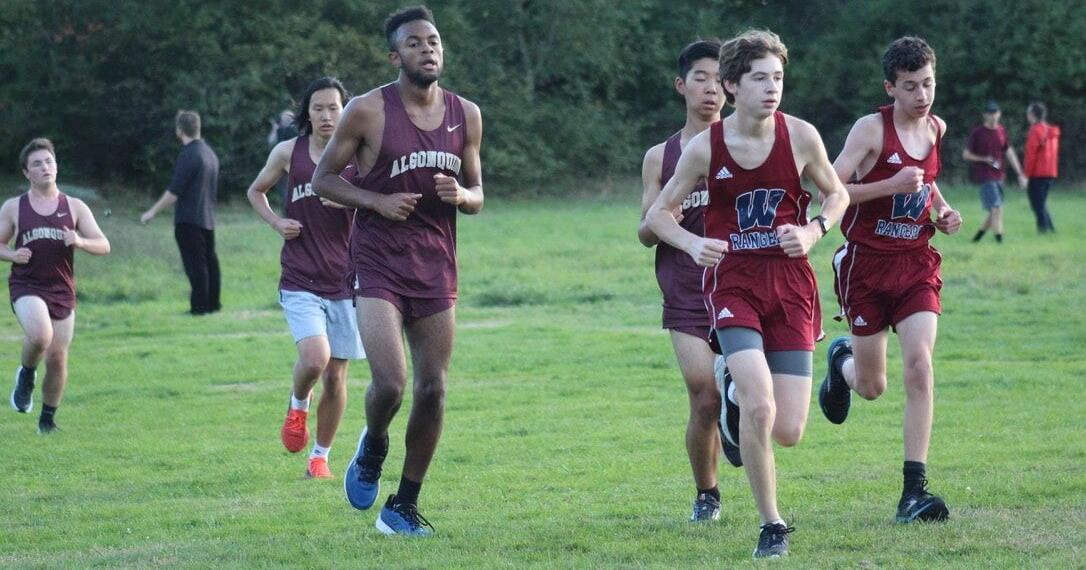 ARHS boys varsity cross country strides through 2022 | Sports ...