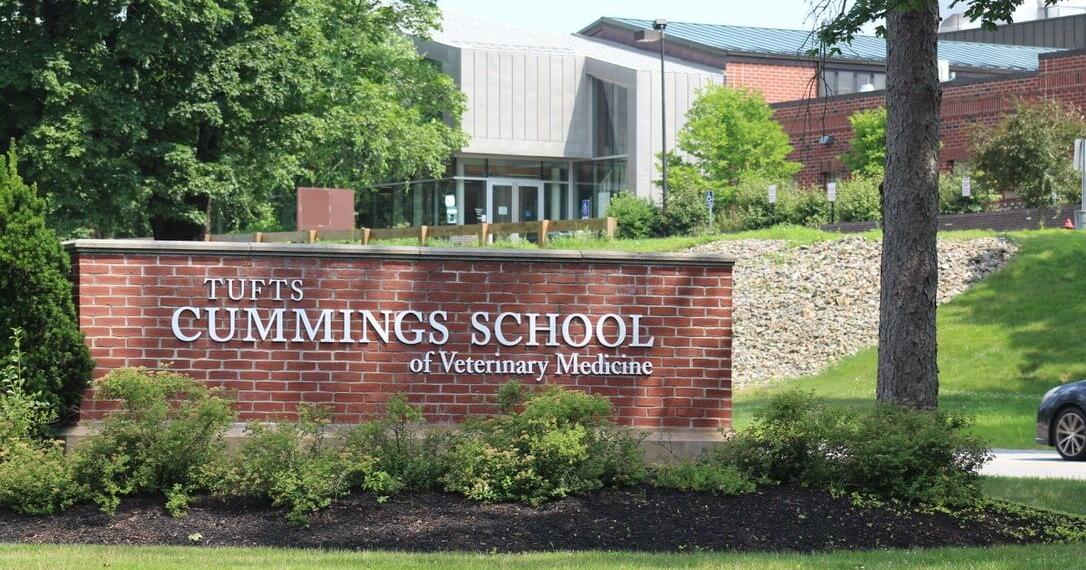 Tufts Cummings School eyes construction of new academic building ...