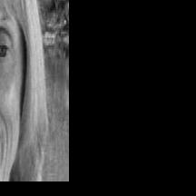 Eileen L. Magee, 72, of Marlborough | Marlborough | communityadvocate.com