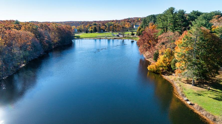 PHOTOS: Changing leaves at Dean Park | Shrewsbury | communityadvocate.com