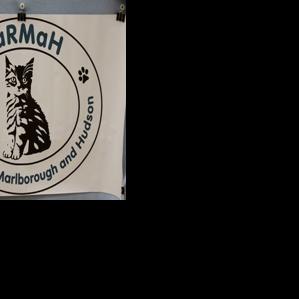 Marlborough/Hudson cat rescue group gets new name | | communityadvocate.com
