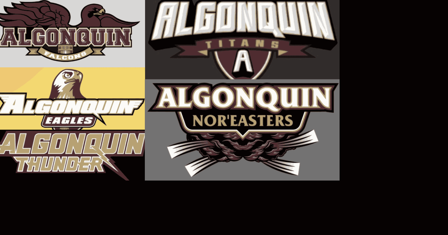 Algonquin talks next steps in new mascot selection process | Education ...