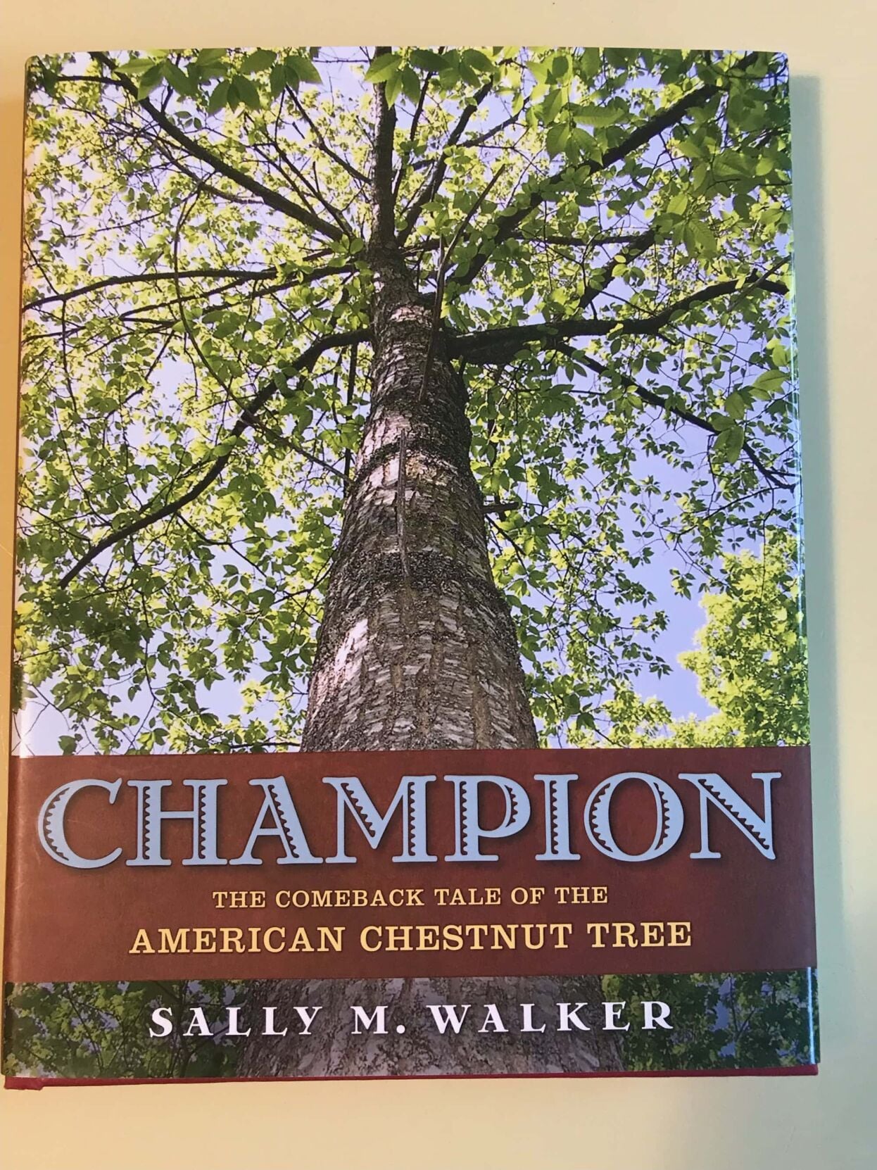 Nature Notes: American Chestnut update | Westborough ...