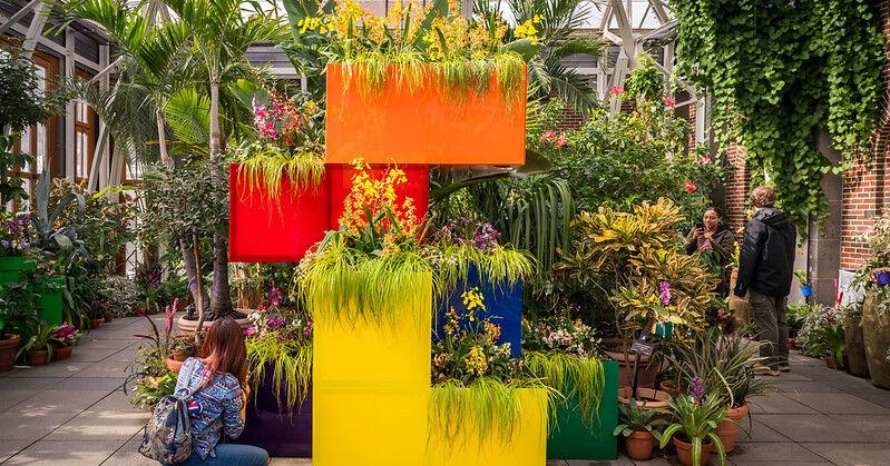 Visit New England Botanic Garden’s ‘Pixels + Petals’ exhibition ...