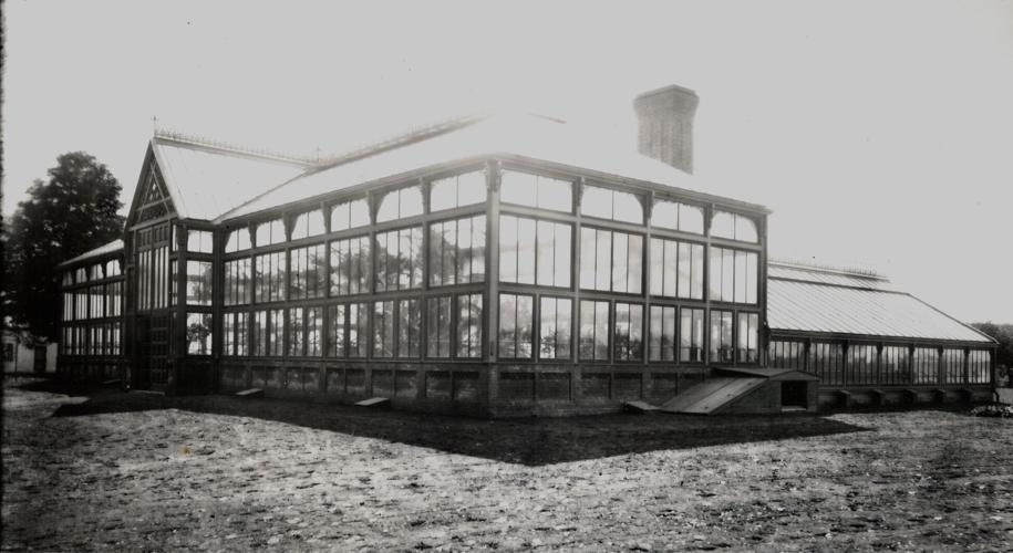 Two companies put in bids on White Cliffs. Here's what could happen ...