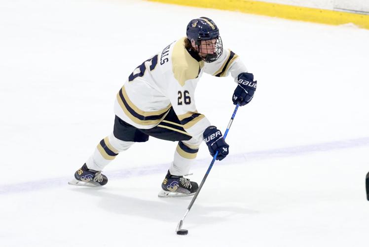 PHOTOS: Shrewsbury boys' hockey outlasts Andover | News ...